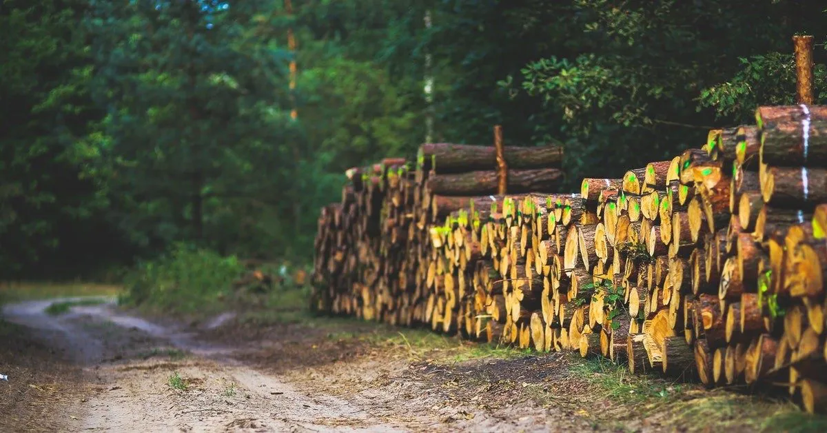 Logging Equipment Names