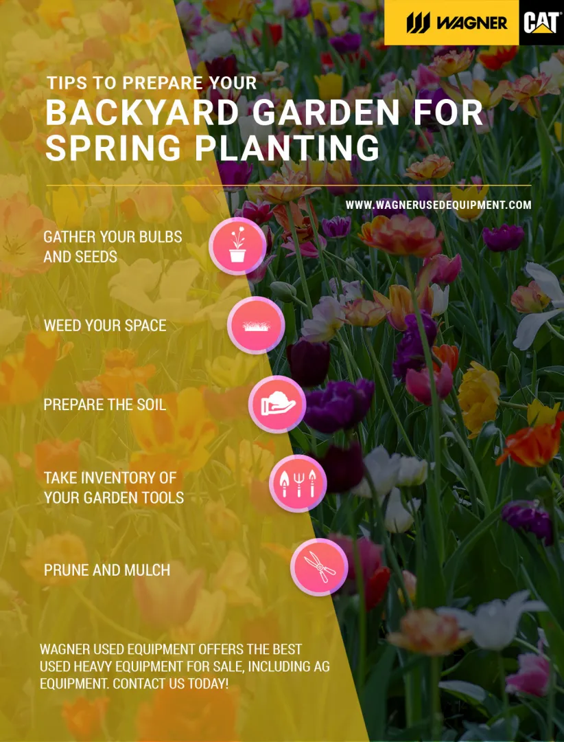 Tips to Prepare Your Backyard Garden for Spring Planting